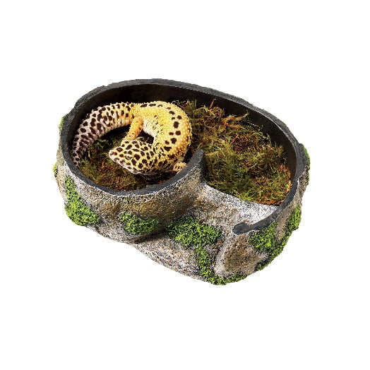 Rock Lair - Small – Lowcountry Reptiles